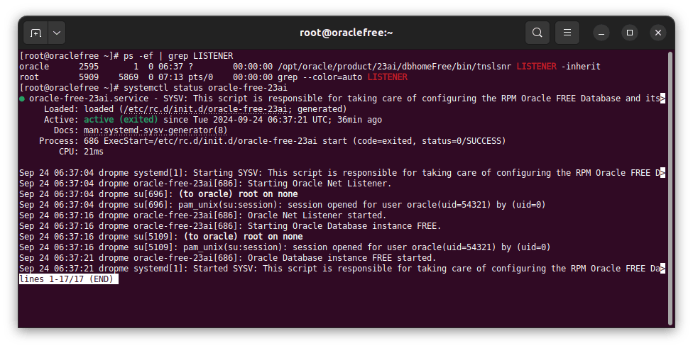 Starting Oracle Database 23ai Free at boot time – Martins Blog